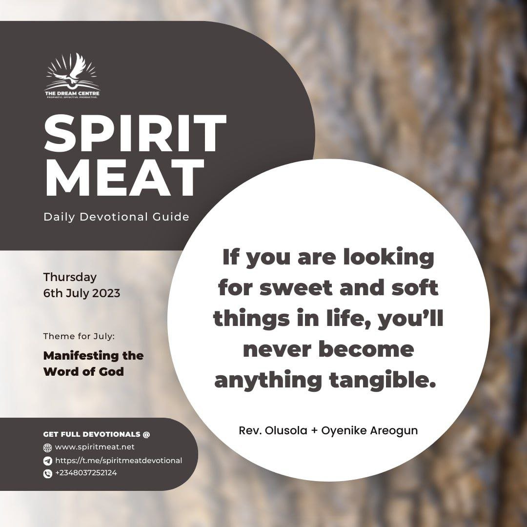 06 July 2023: OUR LIGHT AFFLICTIONS – 2 Corinthians 4:16-18 – Spirit Meat